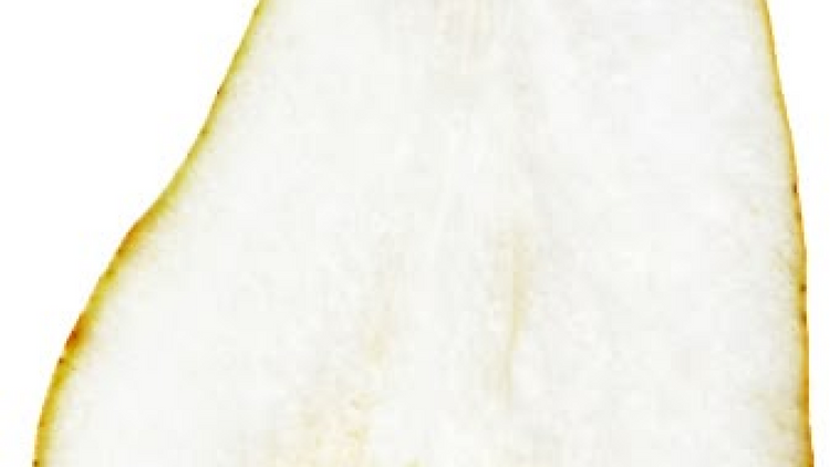 Gamete Intrafallopian Transfer (GIFT): Understanding This Fertility Tr