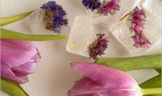 HSG Test: A Simple Guide to Evaluating Female Fertility