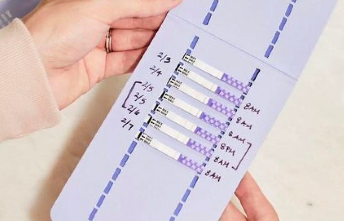 When Am I Most Fertile? Ovulation Window and Calculation Explained
