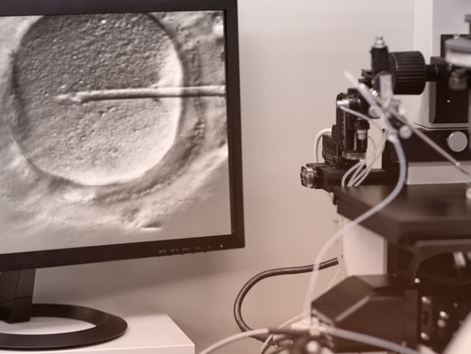 IVF Full Form: Complete Guide to In Vitro Fertilization